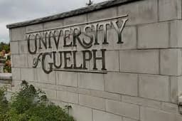 Bachelor Of Science - Human Kinetics (GZK) at University of Guelph ...