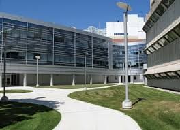 Bachelor Of Science - Human Kinetics (GZK) at University of Guelph ...