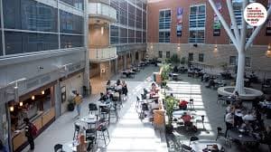 Bachelor Of Science - Human Kinetics (GZK) at University of Guelph ...