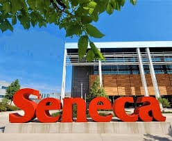 Early Childhood Education (ECE) at Seneca Polytechnic - Program ...