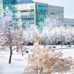 Bachelor Of Social Work - Pre-Social Work at UOR - University Of Regina ...