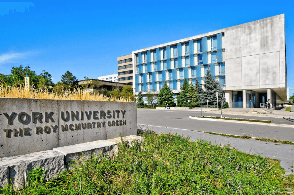 Bachelor Of Science In Nursing - Nursing: Second Entry at York ...