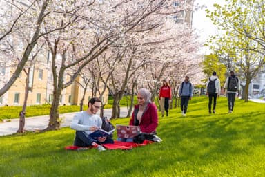 Bachelor Of Science In Nursing - Nursing: Second Entry at York ...